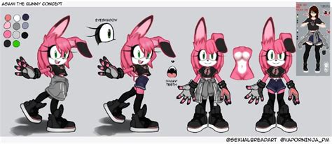 Sonic Riders Asami The Bunny By Vaporninja On Newgrounds
