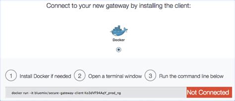 reaching enterprise backend with bluemix secure gateway via console