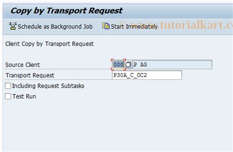 SCC SAP Tcode Client Copy Special Selections