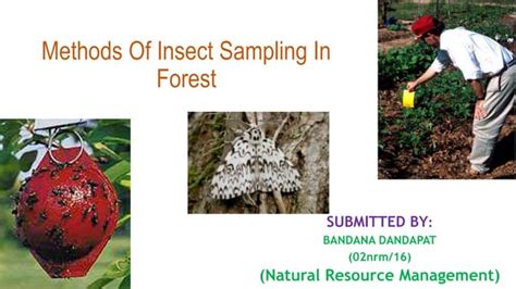 Methods Of Insect Sampling In Forest Pptx