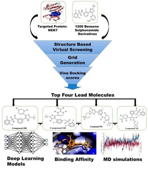 Deep Learning And Structure Based Virtual Screening For Drug Discovery Against Nek7 A Novel