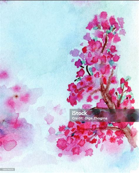 Sakura Mekar Dengan Latar Belakang Gambar Cat Air Langit Bunga Sakura Jepang Merah Muda Di Dahan