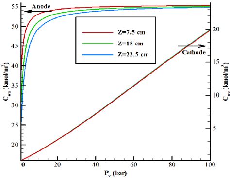 Water Concentration Distribution At Anode And Cathode Sides During The