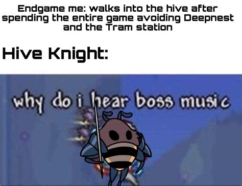 Sorry Buddy Rhollowknightmemes