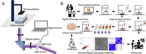 Schematic Of The Dlp Based 3d Printer And The Flow Of Clinical Use A