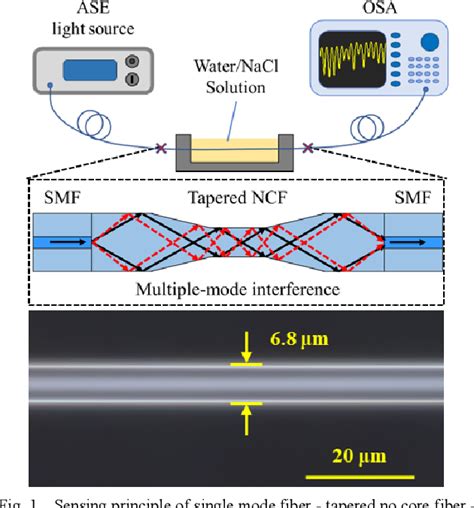 figure 1 from highly sensitive salinity refractive index sensor based