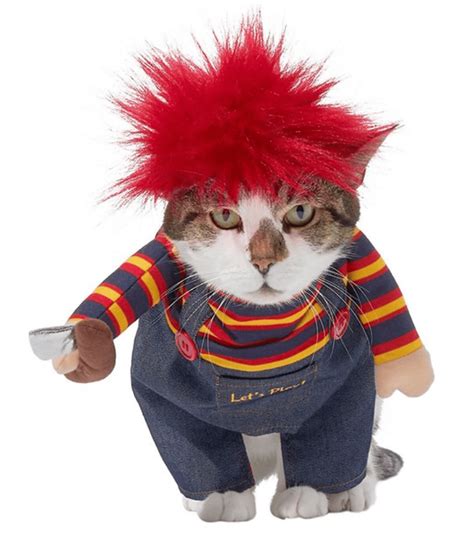 Lost Cat Costume