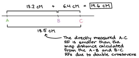 Classical And Molecular Genetics Jays Domain