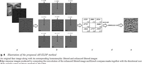 Figure 1 From Face Recognition Under Varying Illumination Based On Adaptive Homomorphic Eight
