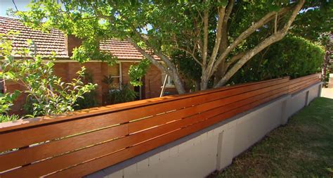 Should I Replace My Timber Fence If It Shows Signs Of Pest Damage Quality Fencing Auckland