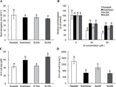Physiological Characterization Of Two Chromosome Segment Substitution Download Scientific