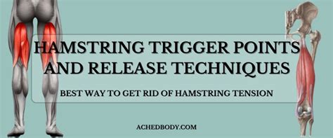 Hamstring Trigger Points And Release Techniques The Ached Body Hamstring Trigger Points And Release Techniques The Ached Body