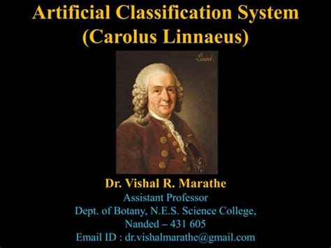 Engler And Prantl System Of Classification Ppsx