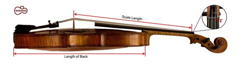 How To Tell Size Of Violin INS