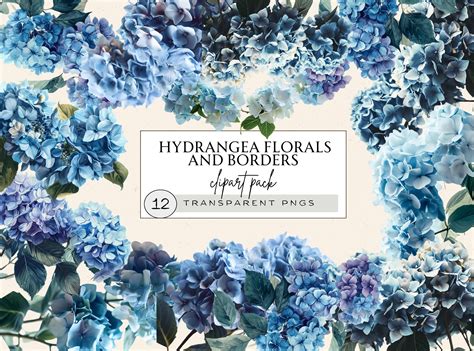 Hydrangea Printable Clipart Dusty Blue Floral Clipart Border Hydrangea Floral Border Blue