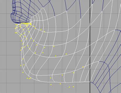 Blendshape Face Animation