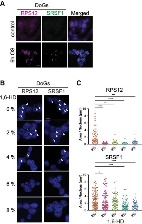 remarkable improvement in detection of readthrough downstream of gene