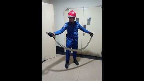 Python Chooses To Rest In A Main Switchboard Of Miris Wisma Pelita Tunku