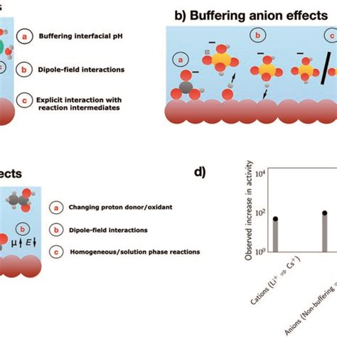 Schematics Showing The Different Sources Of Electrolyte Effects Download Scientific Diagram