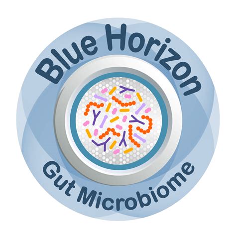 Gut Microbiome Test Easy Sampling Full Report Blue Horizon Blood