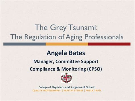 The Grey Tsunami Regulating Aging Professionals Ppt