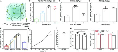 Characterization Of The Adhesive Hydrogel A Schematic Of The Adhesive