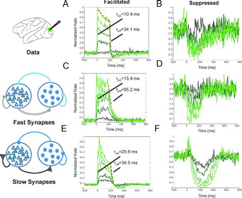 Model Comparison With The Full Temporal Response Profile Seen In The Download Scientific
