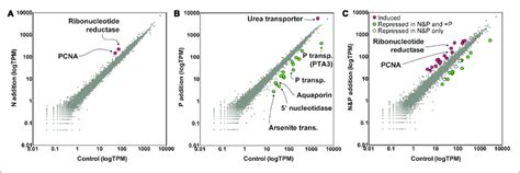 Gene Expression Values In Tags Per Million Tpm In The Nitrogen N Download Scientific