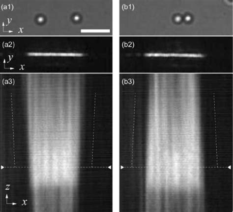 Optical Trapping With A Parabolic Phase Gradient Two Silica Beads 15