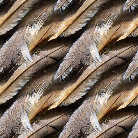 Premium Ai Image Feather Pattern Premium Ai Image Feather Pattern