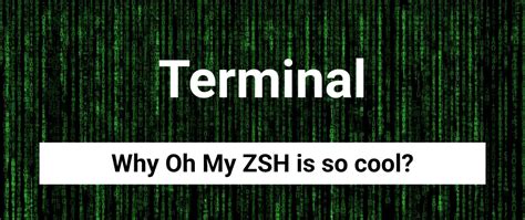 Why Oh My Zsh Is So Cool Dev Community