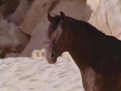 Cass Ole 1969 1993 Find A Grave Memorial