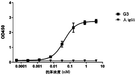 Ror1 Receptor Tyrosine Kinase Like Orphan Receptor Monoclonal