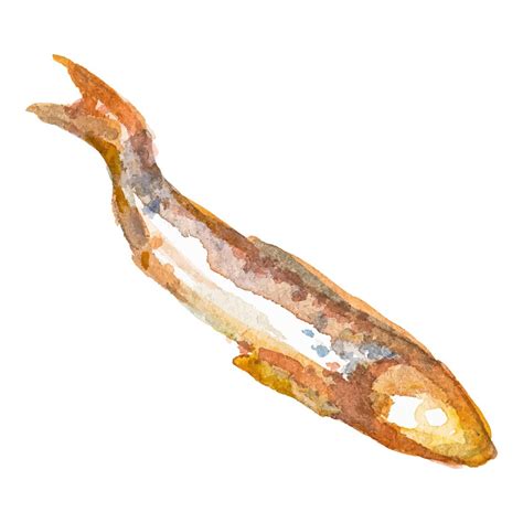 Premium Vector Watercolor Painted Roasted Fish Hand Drawn Fresh