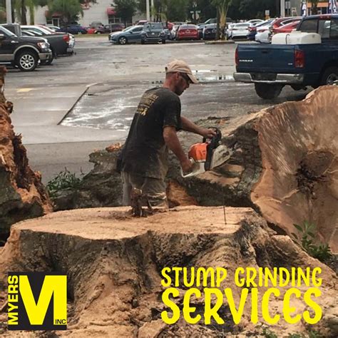 Myers 🌳 Stump Grinding Made Easy Clear Your Yard With Myers Inc