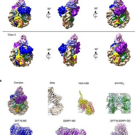 Electron Density And Models A Density Maps For Class 1 And 2 Particles