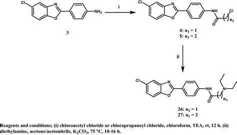Synthetic Scheme Of Target Benzoxazole Derivatives 26 27 Download