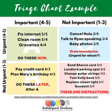 Overcoming Overwhelm With The Triage Chart — Intelligent Emotions