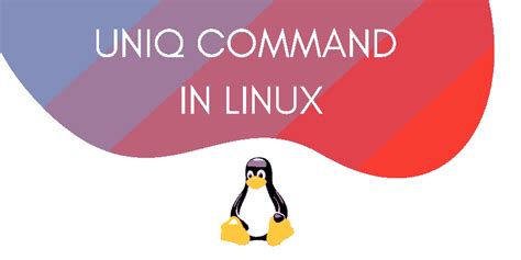 Использование команды Uniq в Linux с примерами Рецепты Linux