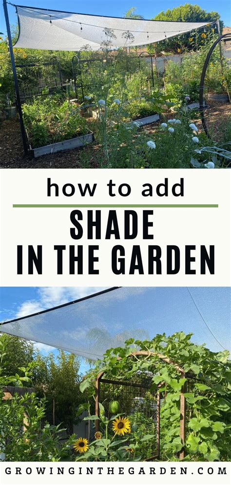 How To Create Shade In The Garden Growing In The Garden