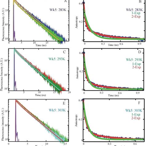 Time Resolved Fluorescence In The Parallel And Perpendicular Download Scientific Diagram