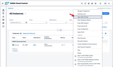 Query The Database Using Sql Statements Sap Tutorials