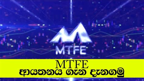 Fake Company Figures Of Mtfe Scam Youtube