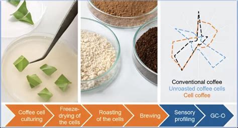 Brian Weis On Linkedin If Its Not Too Late Id Like To Add A Bioreactor To My Wishlist Yknow …