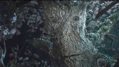 The Loss Of Lotrs Entwives Is Much Sadder After Their The Rings Of