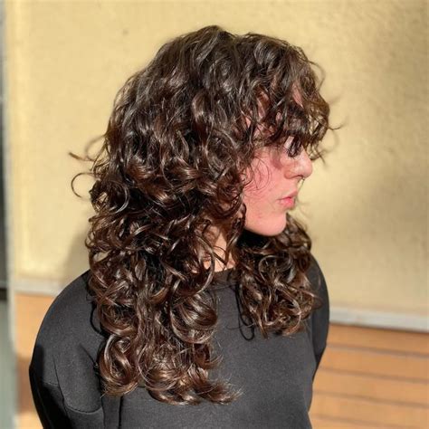 Wolf Cut Curly Hair Long Hair Styles Long Curly Haircuts Hair Cuts