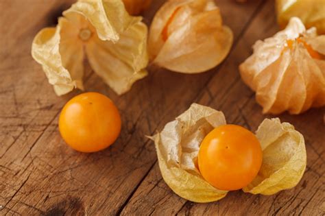 케이프 구스베리 Physalis 후르트 육상용 체리 유기농 식품 야채 0명에 대한 스톡 사진 및 기타 이미지 0명 겉껍질 과일 Istock