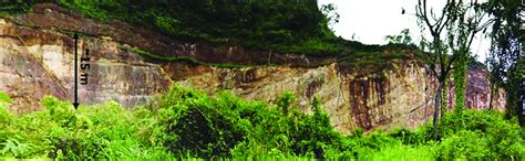 Normal Faults Or Back Thrusts In The Kenny Hill Formation At Bukit Download Scientific Diagram