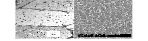 Optical Micrograph And Sem Image Of The Specimen Microstructure A