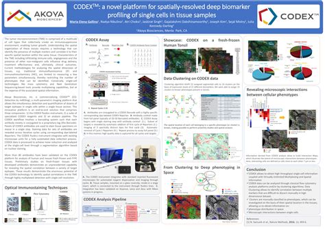 Multiplexed Spatial Proteomics Codex Cell Sciences Imaging Facility